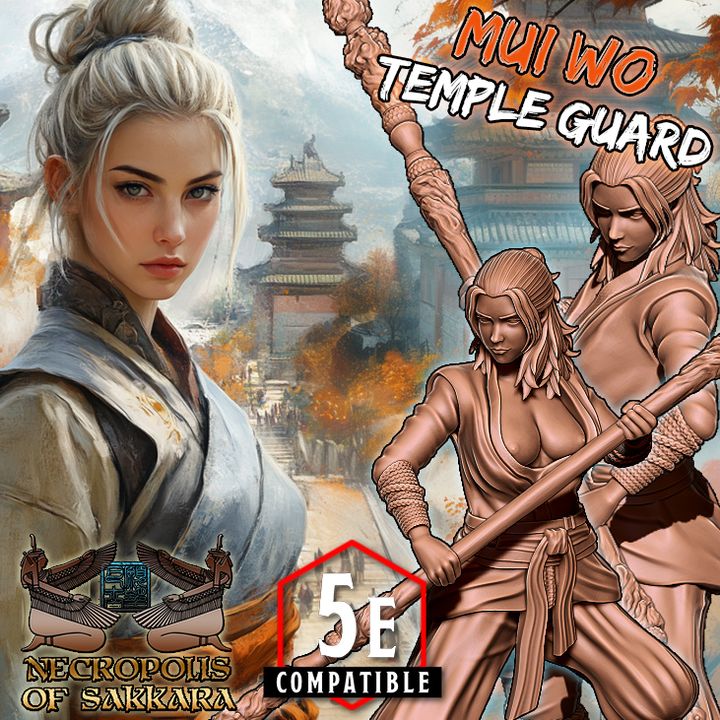 3D Printable Mui Wo the female monk - Fantasy Collectors Miniature SFW & NSFW (Commercial ...